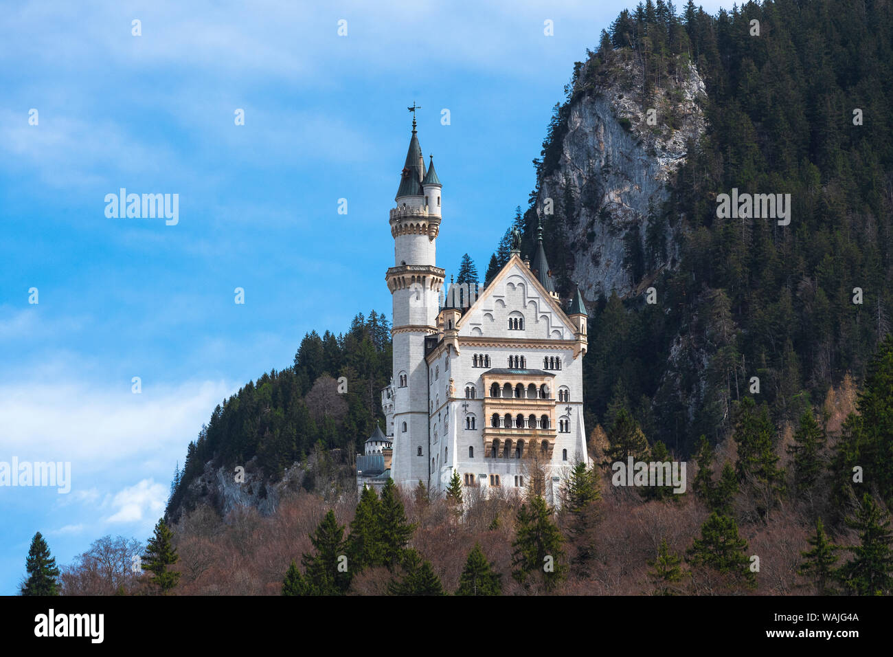 King ludwigs castle immagini e fotografie stock ad alta risoluzione - Alamy