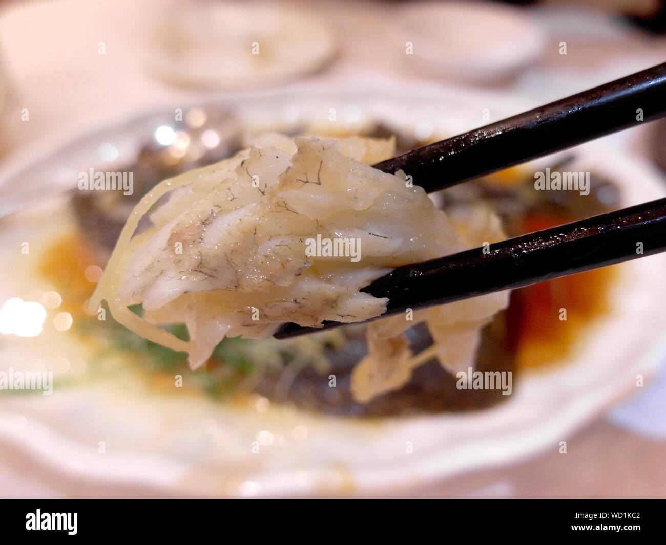 Pesce rombo immagini e fotografie stock ad alta risoluzione - Alamy