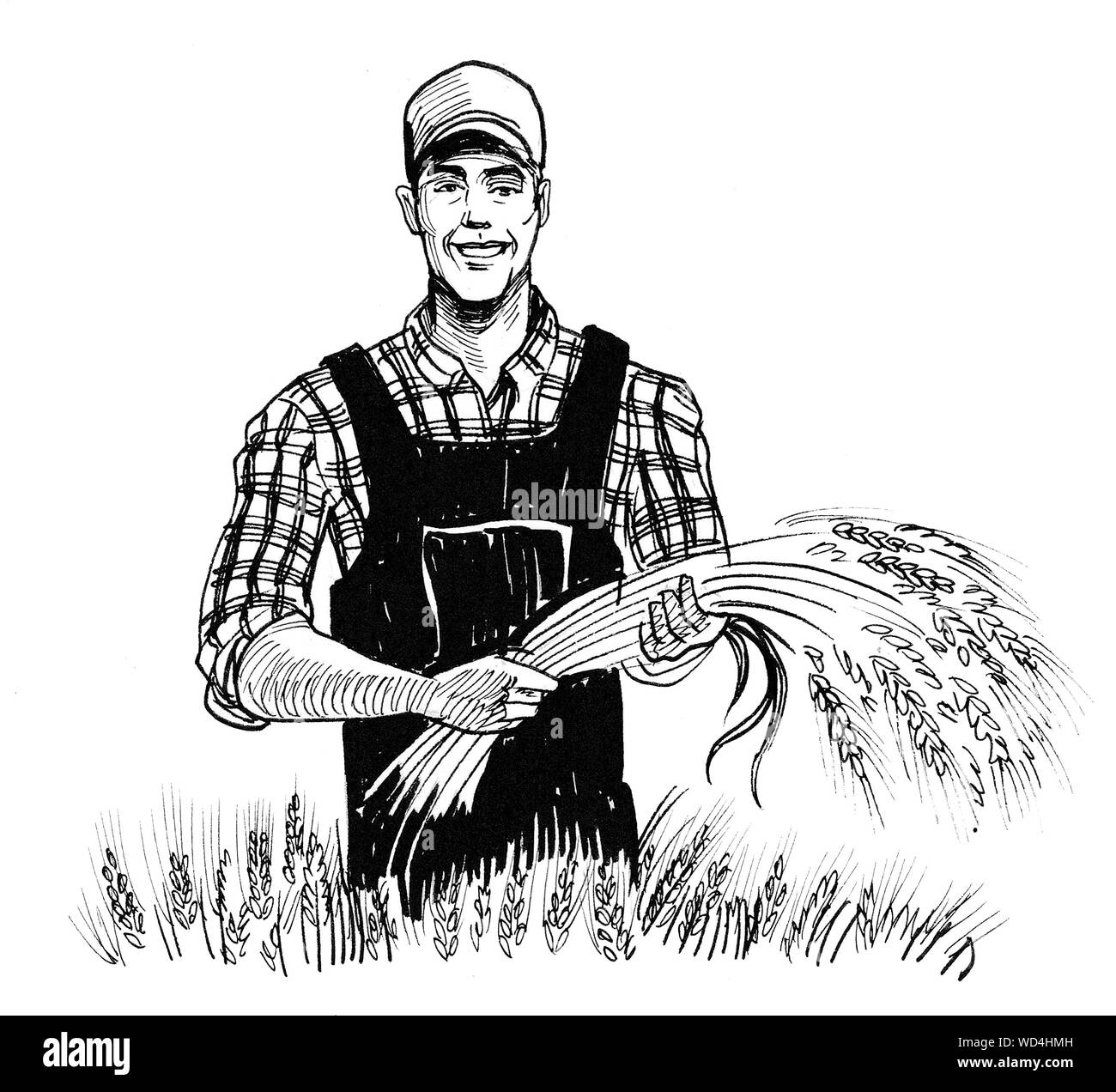 Grano disegno Foto e Immagini Stock in Bianco e Nero - Alamy