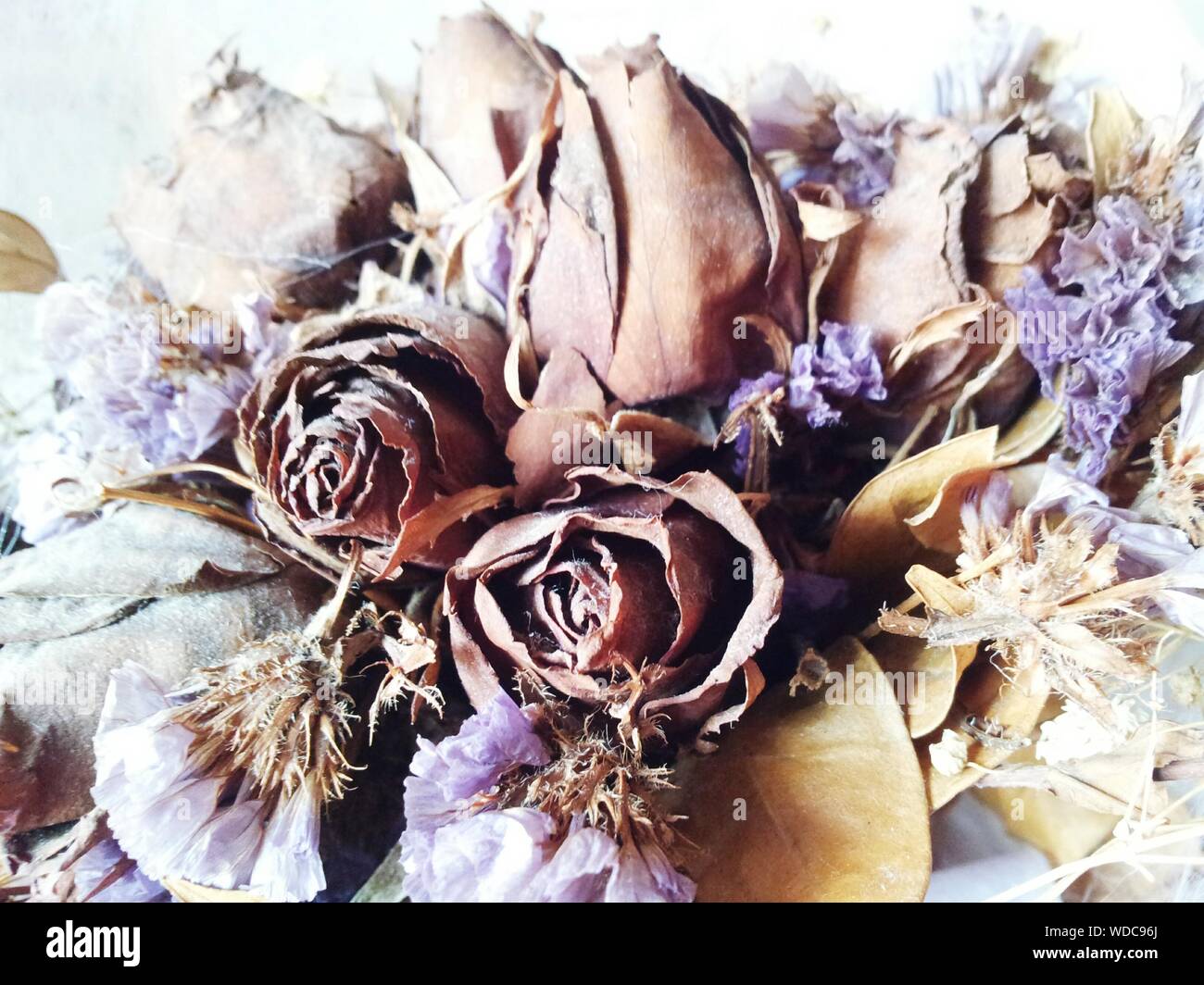 Per fiori secchi immagini e fotografie stock ad alta risoluzione - Alamy