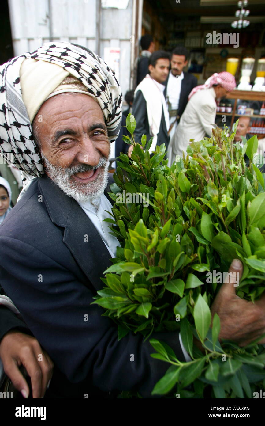 Khat leaf immagini e fotografie stock ad alta risoluzione - Alamy