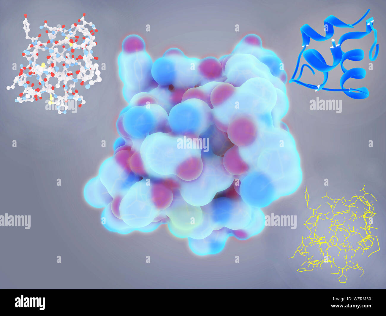 Metabolismo degli zuccheri nel sangue immagini e fotografie stock ad ...