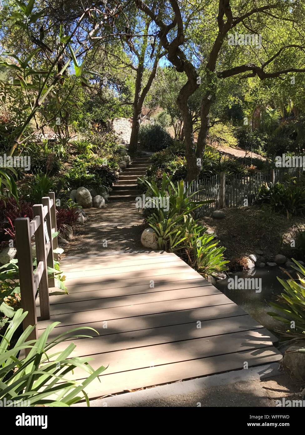 Sentiero alberi alberi piante nel ramo del parco immagini e fotografie ...