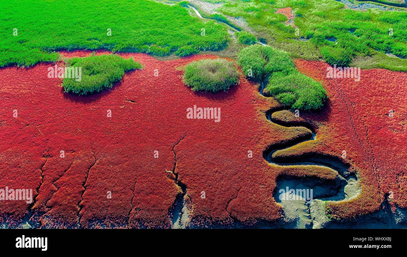 Red beach, panjin, china immagini e fotografie stock ad alta ...