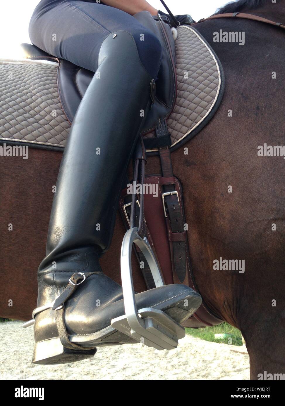 Riding boot with spur immagini e fotografie stock ad alta risoluzione ...