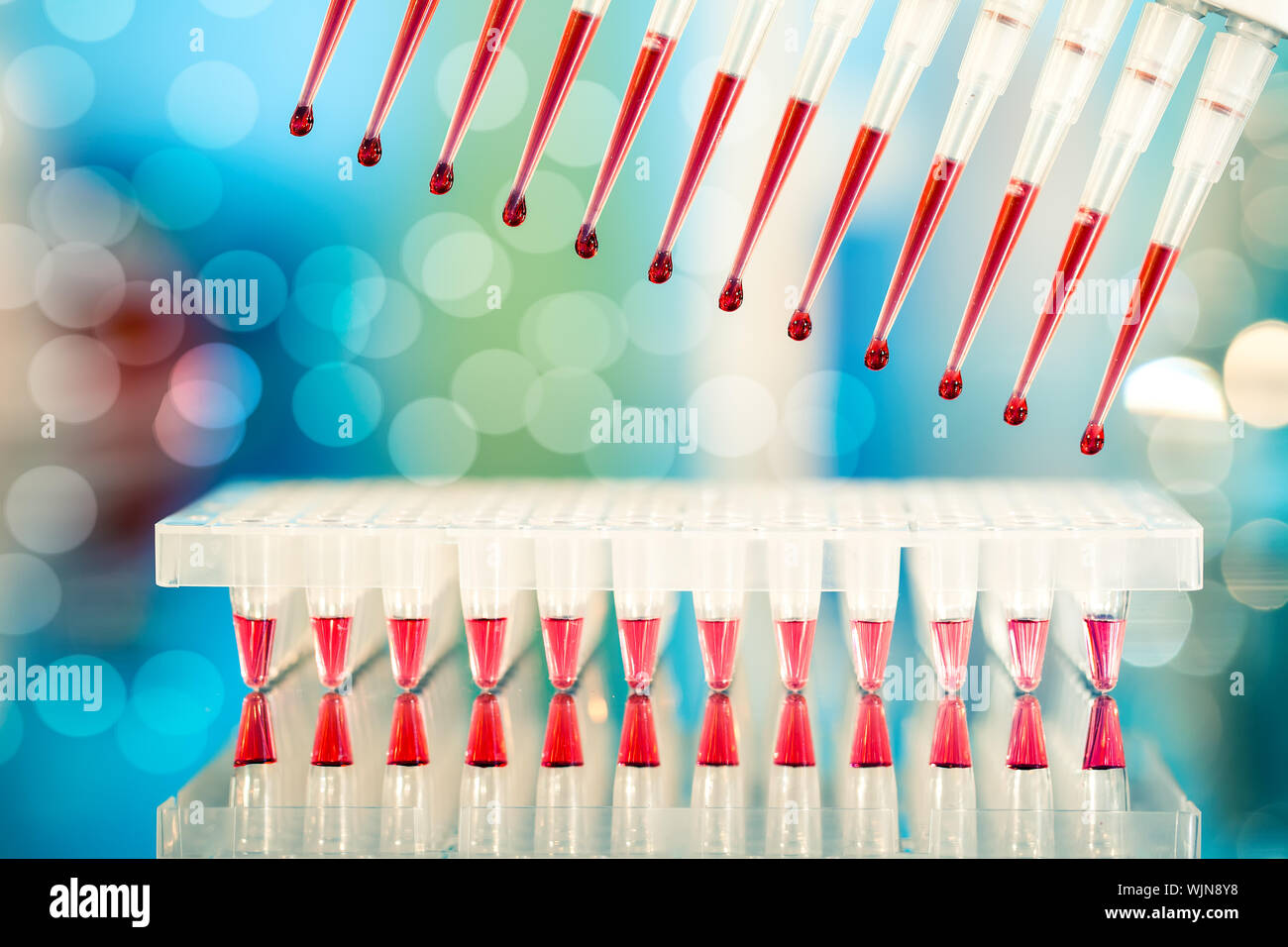 Piastra 96 pozzetti immagini e fotografie stock ad alta risoluzione - Alamy