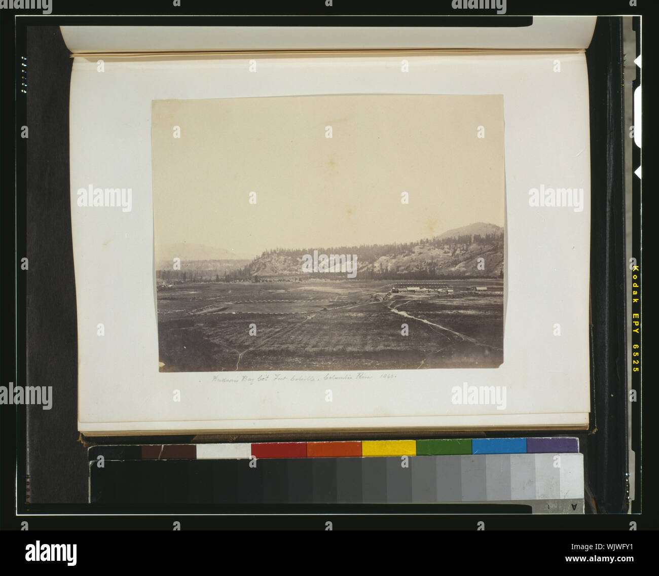 Colville bay immagini e fotografie stock ad alta risoluzione - Alamy