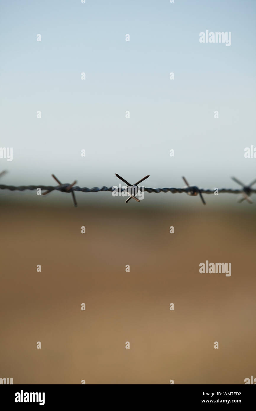 Studio al filo spinato immagini e fotografie stock ad alta risoluzione ...