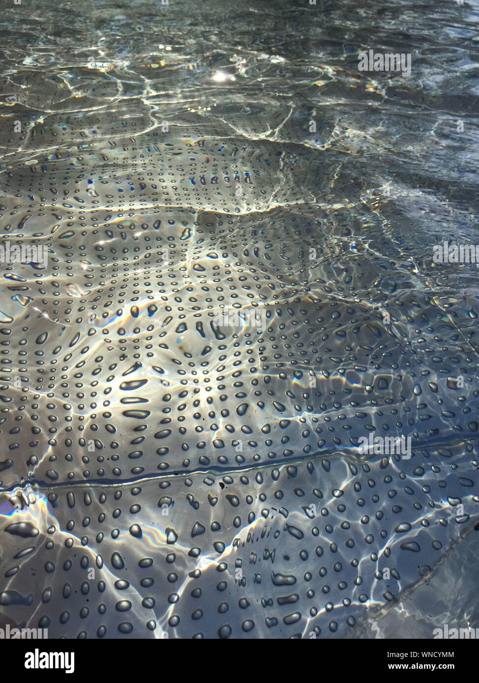 Livello di acque sotterranee immagini e fotografie stock ad alta ...