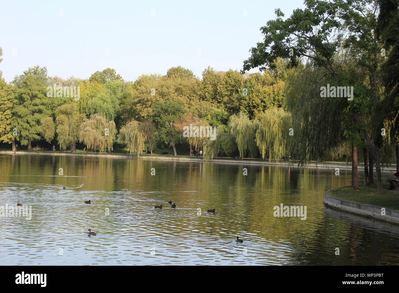 Una passeggiata al parco immagini e fotografie stock ad alta ...