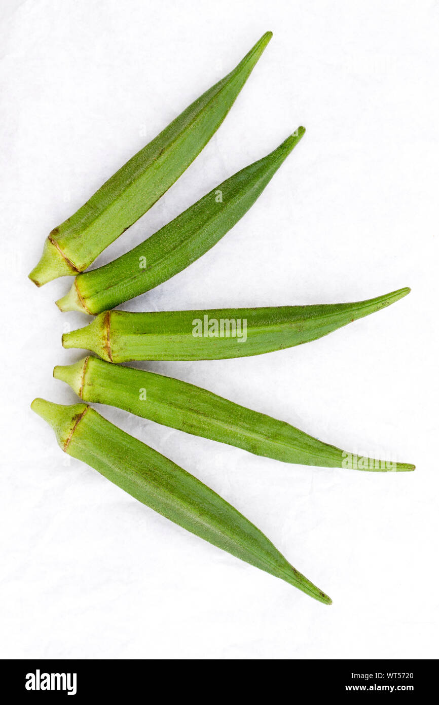 Taglio di gombo immagini e fotografie stock ad alta risoluzione - Alamy