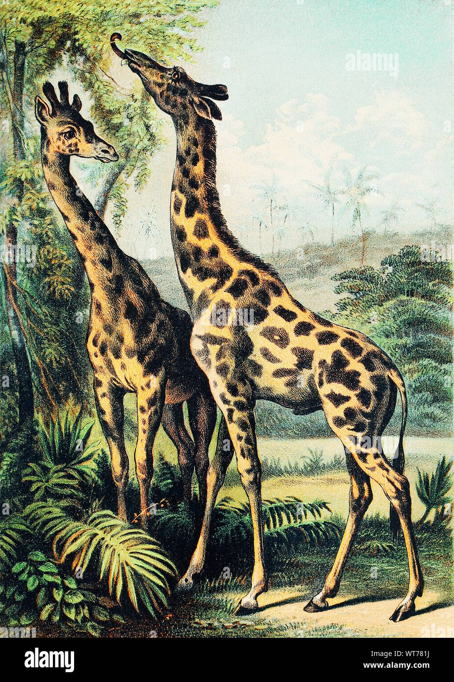 John karst immagini e fotografie stock ad alta risoluzione - Alamy