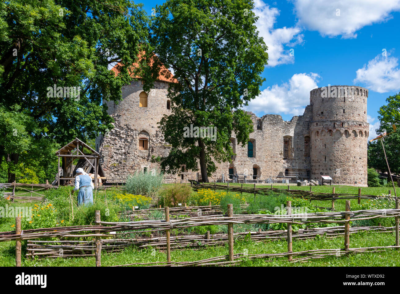 Parco del castello di cesis immagini e fotografie stock ad alta risoluzione - Alamy