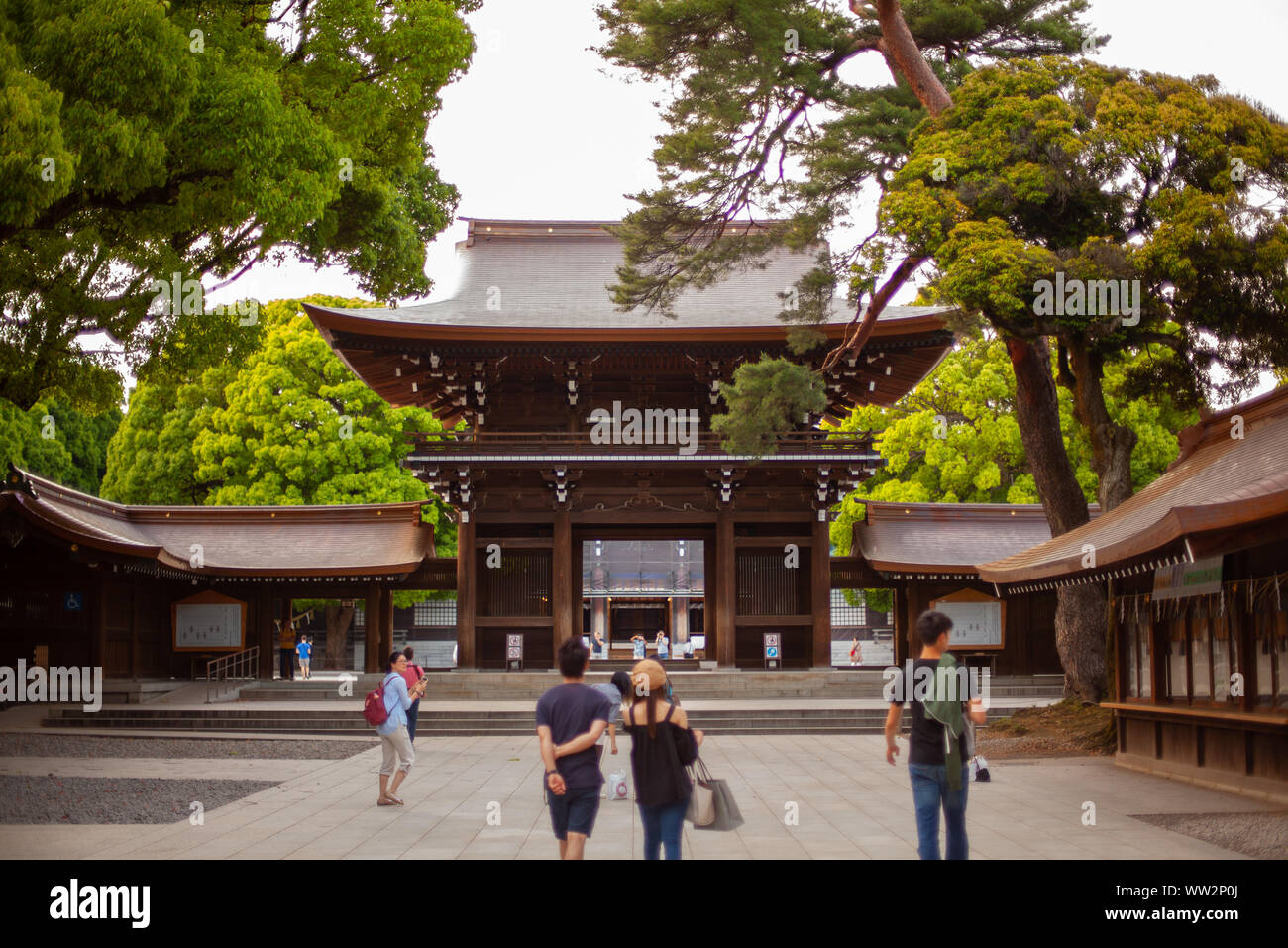 Tempio di meiji jingu immagini e fotografie stock ad alta risoluzione ...