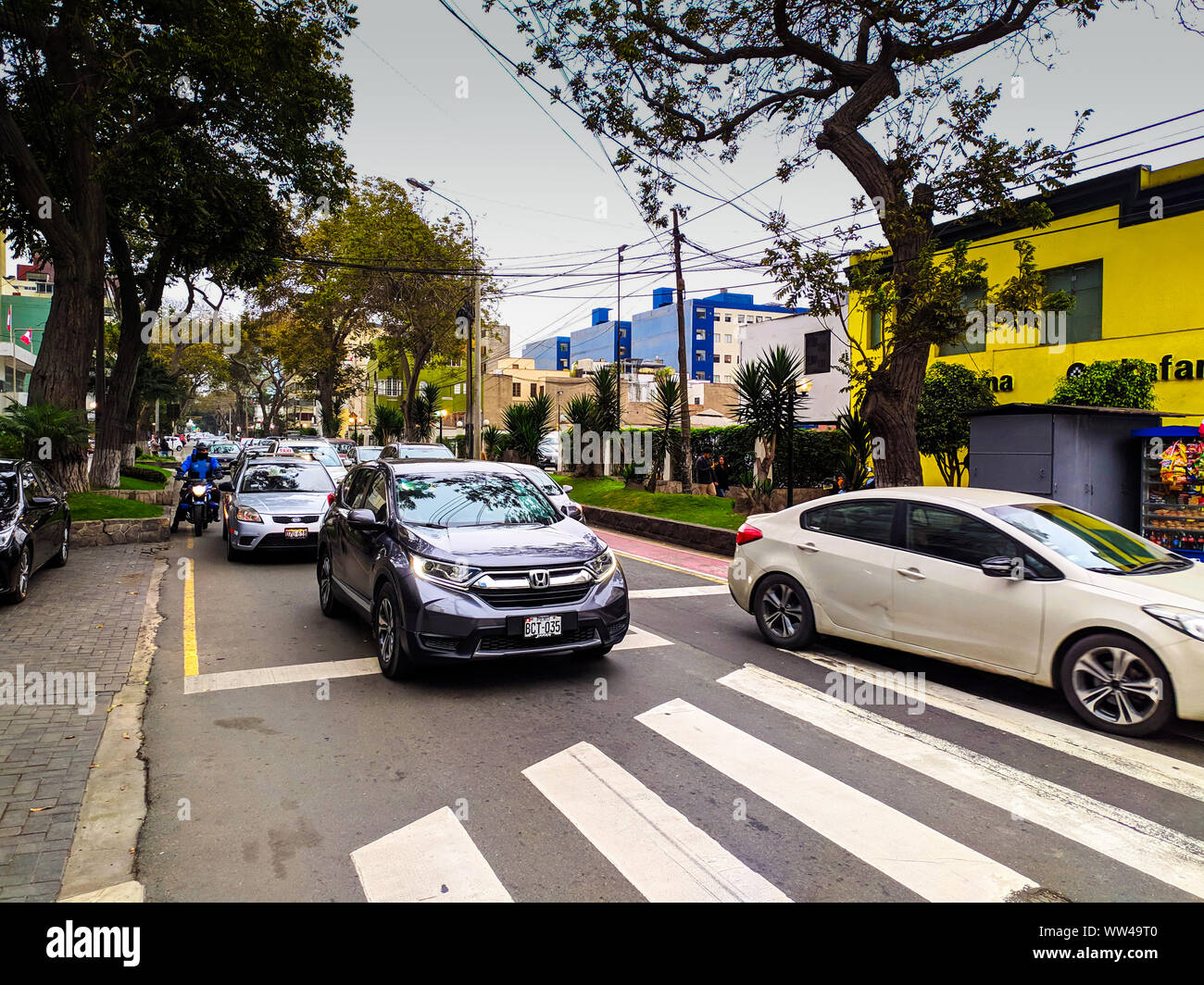 Parque kennedy miraflores immagini e fotografie stock ad alta ...