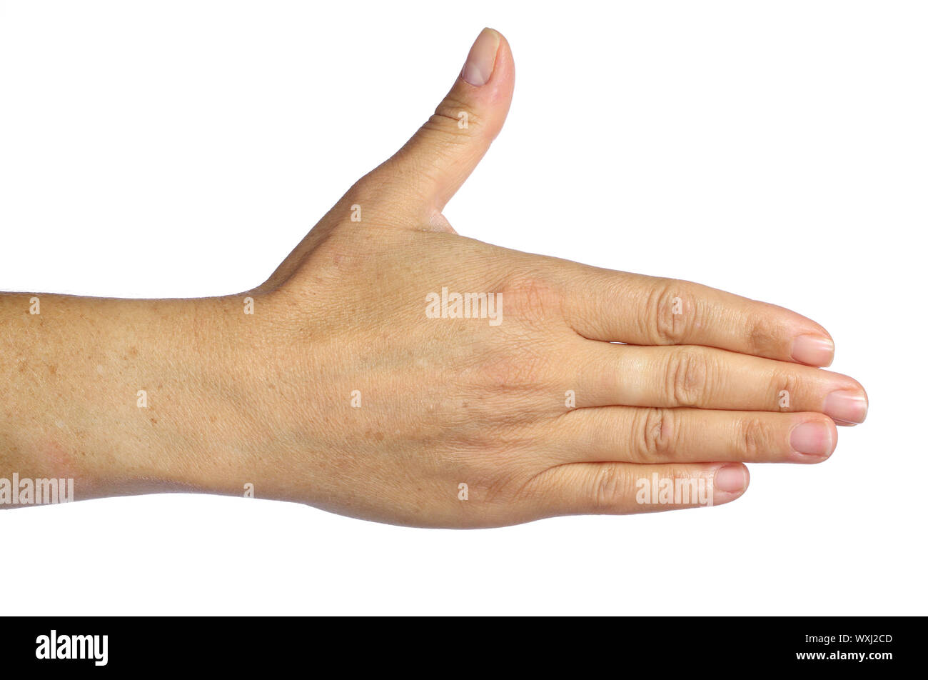 Proibire dire Immagini e Fotos Stock - Alamy