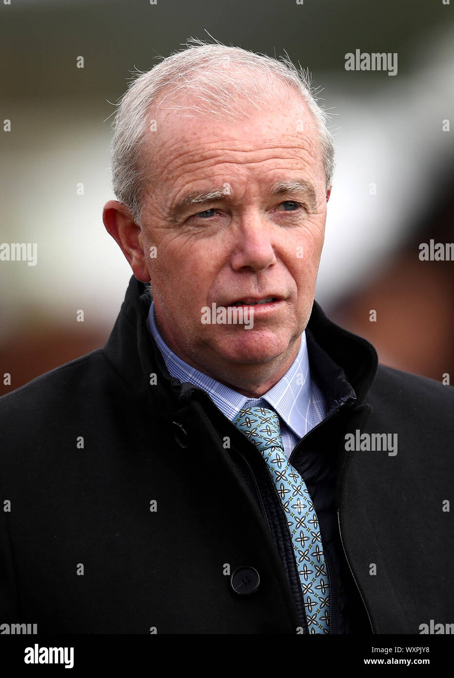 Allenatore karl burke cavallo immagini e fotografie stock ad alta ...