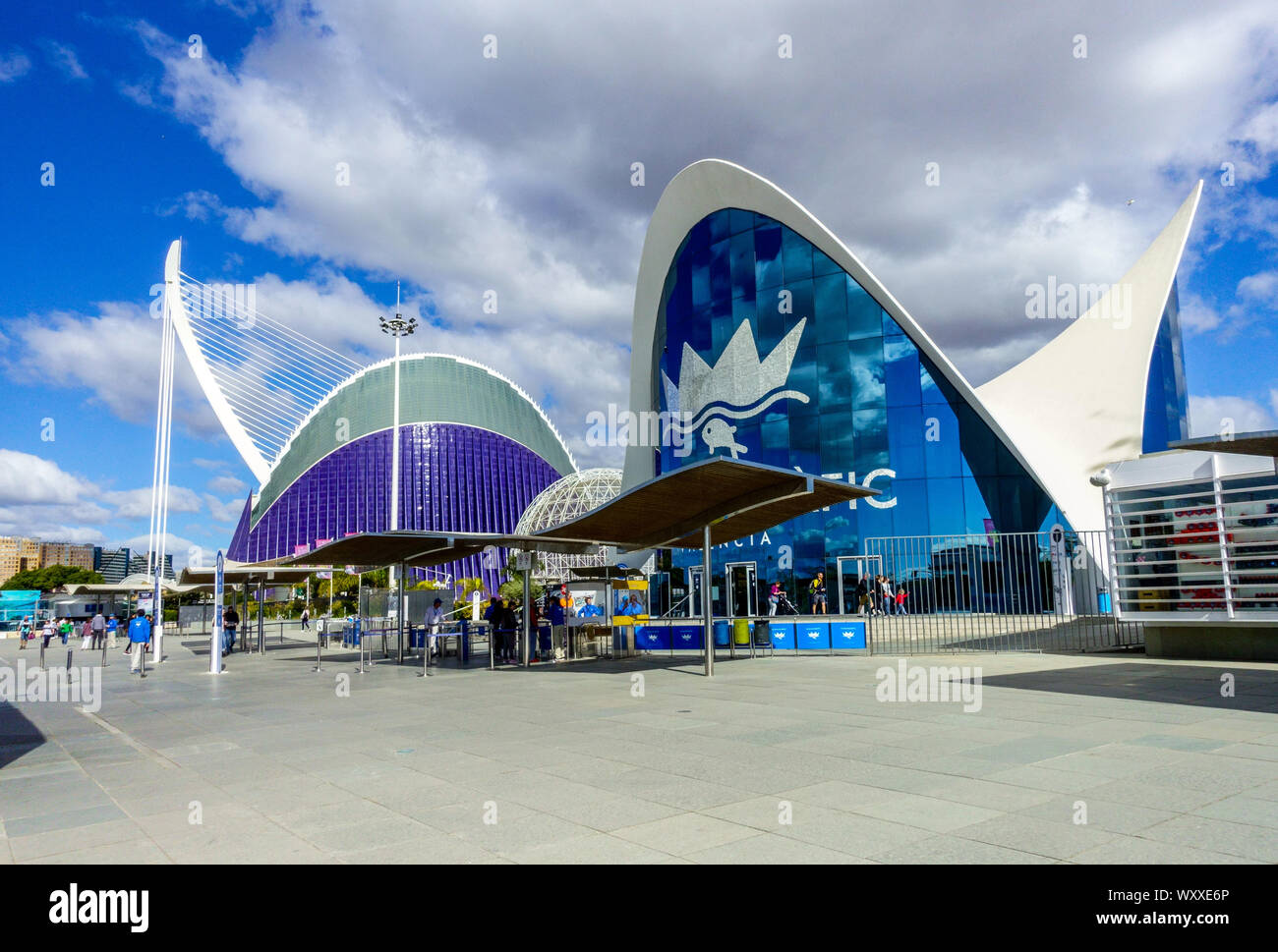 Oceanografic valencia immagini e fotografie stock ad alta risoluzione ...