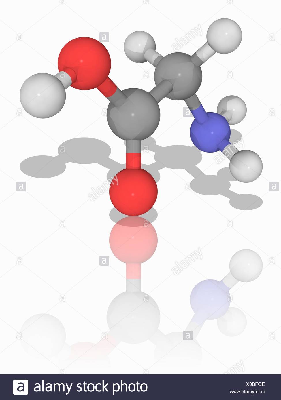 Amino Acid Immagini & Amino Acid Fotos Stock - Alamy