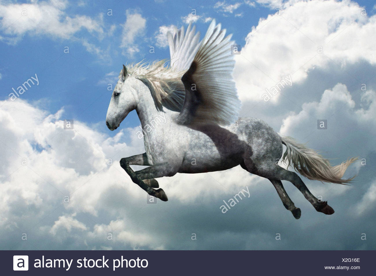 Pegaso Il Cavallo Volante Della Mitologia Greca Immagini e Fotos Stock ...