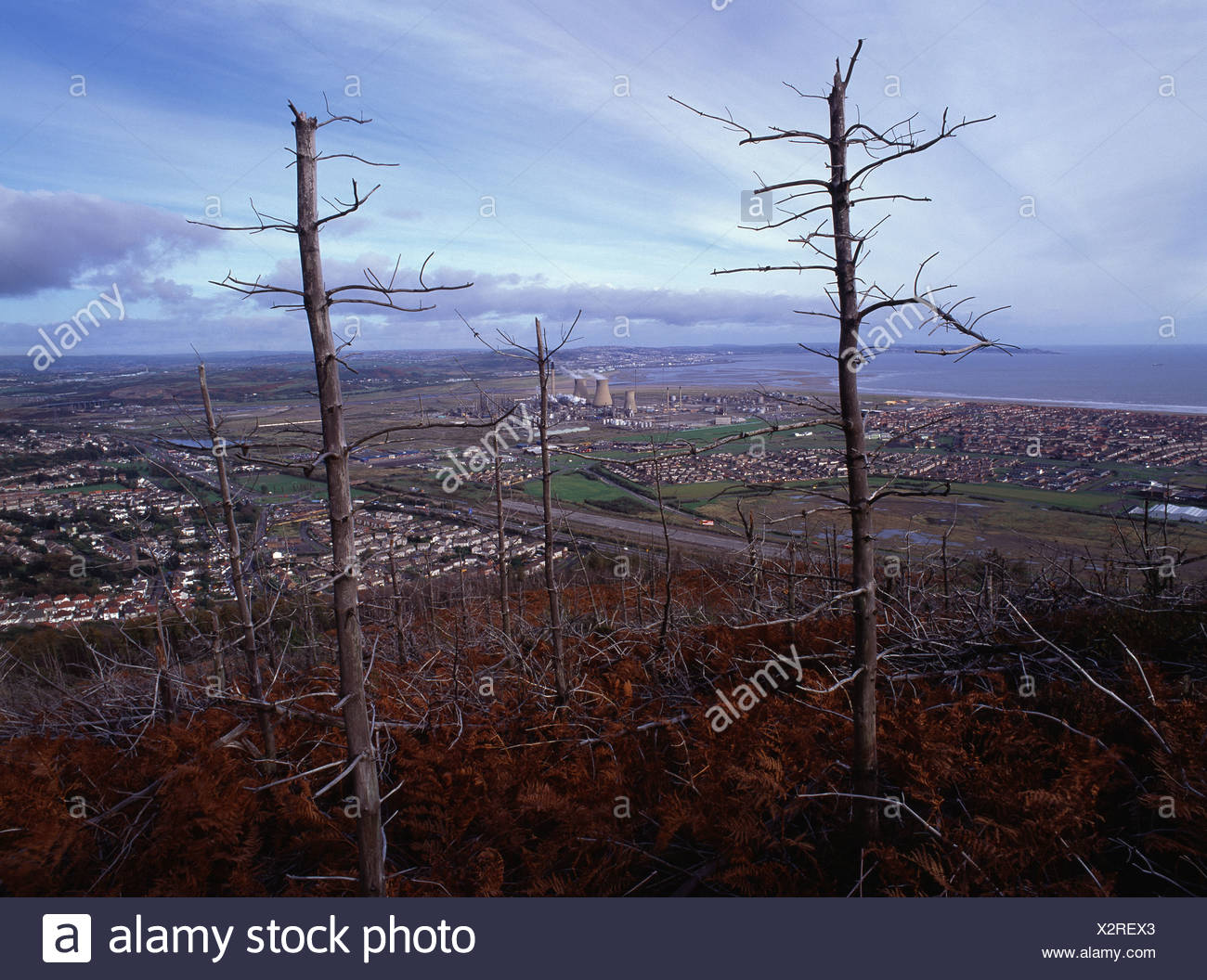 Pioggia Acida Immagini e Fotos Stock - Alamy