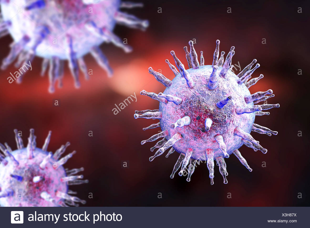 Hhv 4 Immagini & Hhv 4 Fotos Stock - Alamy