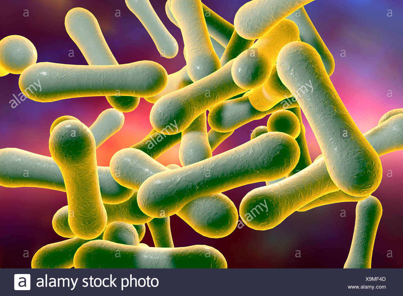 Corynebacterium Diphtheriae Bacteria Immagini e Fotos Stock - Alamy